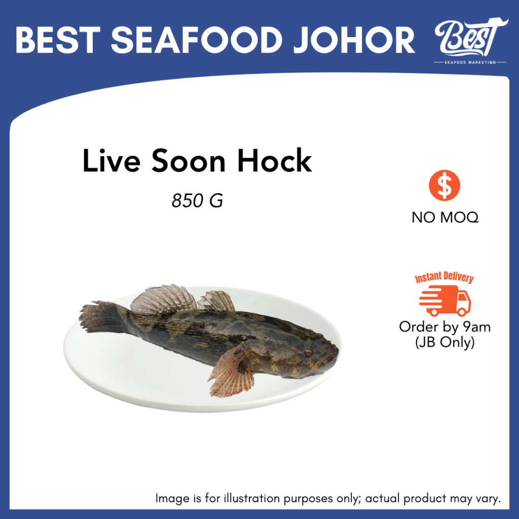 Buy Soon Hock / 顺壳 (笋壳) Supplier & Wholesale Online Malaysia - Best ...