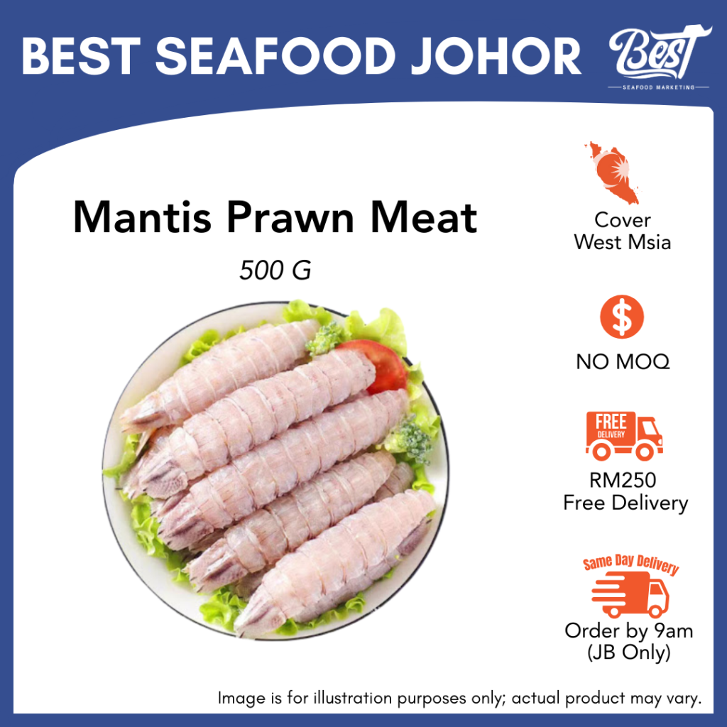 Buy Mantis Prawn Meat / 虾蛄肉 500g Supplier & Wholesale Online Malaysia ...