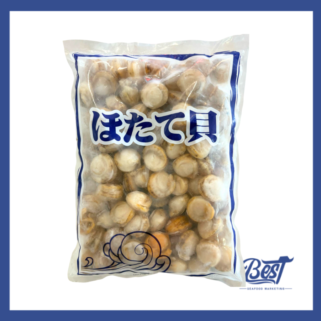 Buy Hotate / 熟带子 (Size 100-150) 1kg Supplier & Wholesale Online ...
