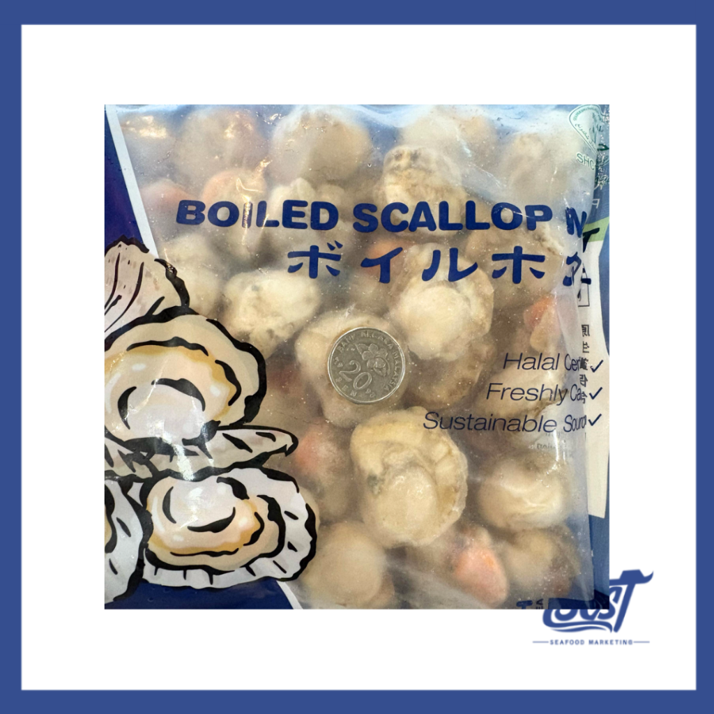 Buy Hotate / 熟带子 (Size 80-100) 1kg Supplier & Wholesale Online Malaysia ...