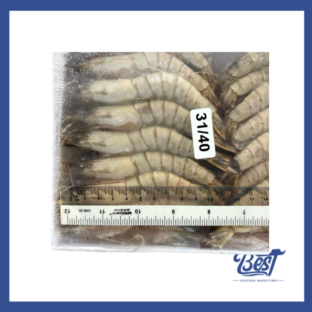 Buy Tiger Prawn / 老虎虾 650g Supplier & Wholesale Online Malaysia - Best ...