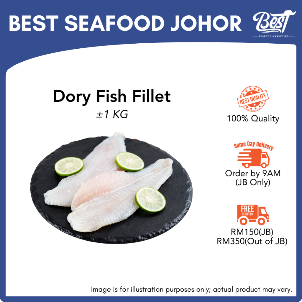 Buy Dory Fish Fillet (Well Trimmed) / 多利鱼片 1kg± Supplier & Wholesale ...